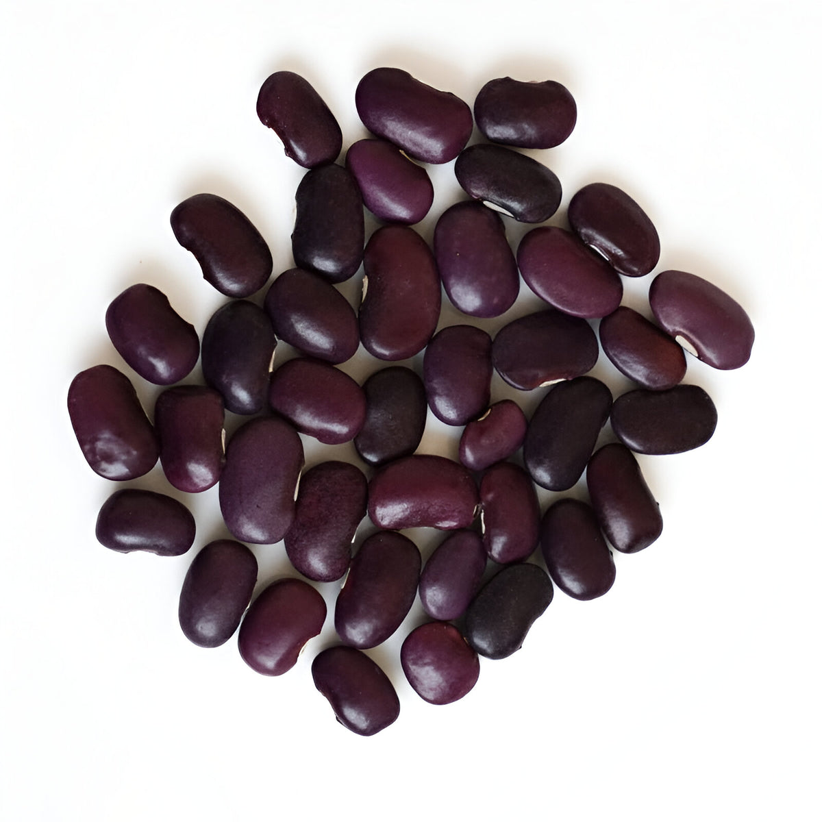 Ayocote Bean (Frijol) 50 (50 lb) — ASDS-AFRIVANA Marketplace